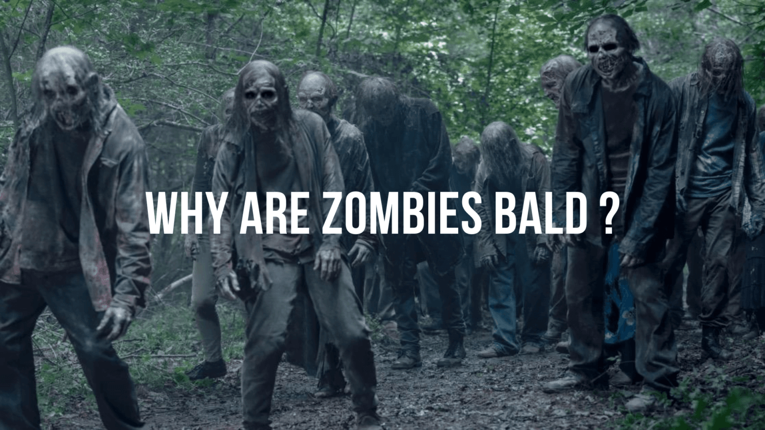 Does Human Hair Decompose, and Is It Linked to Baldness? - BALD LIFESTYLE